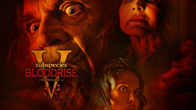 Pure Horror | Screambox