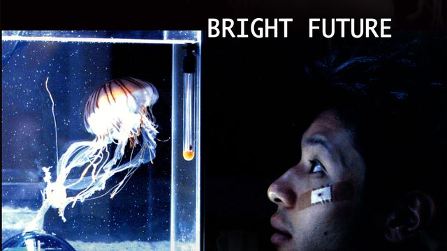 Cineverse: Bright Future